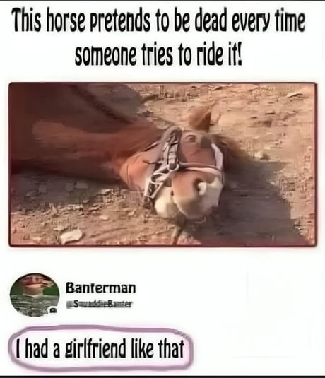 Ridin Memes Equestrian Spirit Love Your Horse Best Memes Of 2020