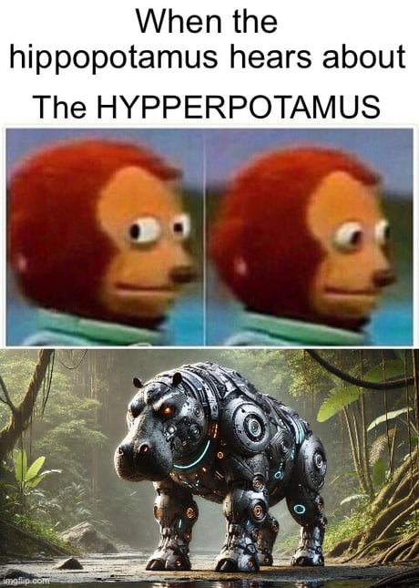 Best Funny hippo Memes - 9GAG