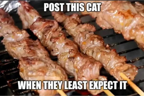 Shish Kebab Memes Shish Kebab Thing You Wouldnt Understand Funny