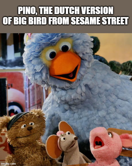 Best Funny sesame street Memes - 9GAG