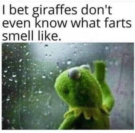 Best Funny Who Knows Memes 9gag