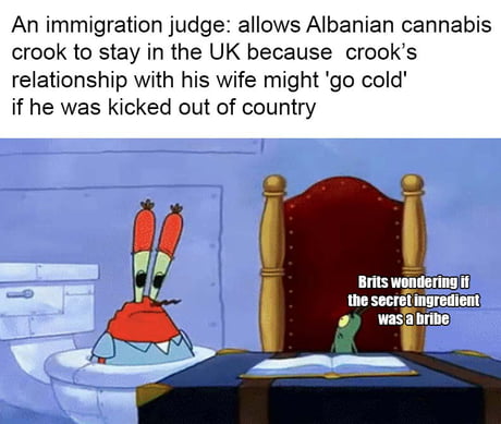 Best Funny judge Memes - 9GAG