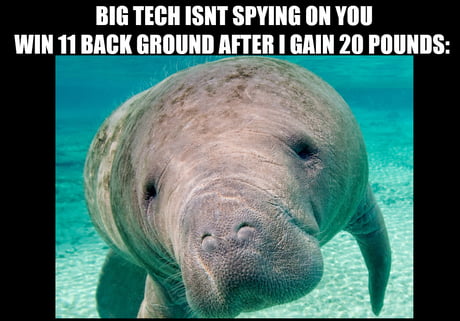 Best Funny spying Memes - 9GAG