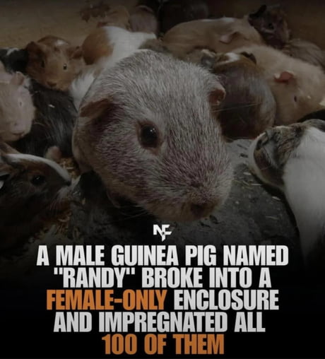 Best Funny reproduction Memes - 9GAG