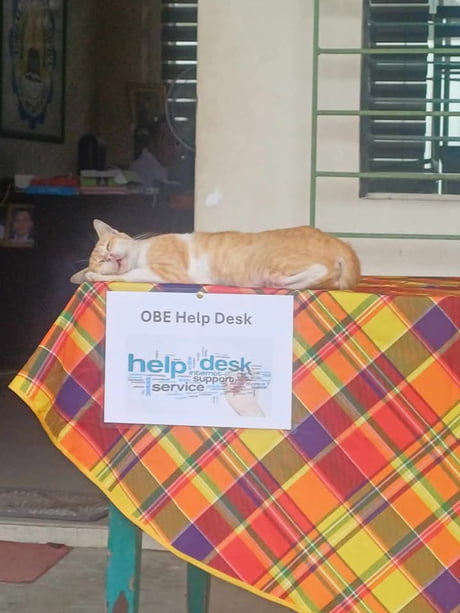 Best Funny helpdesk Memes - 9GAG