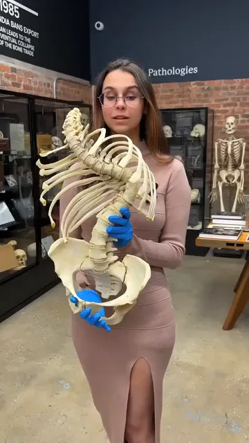 Curvy Memes