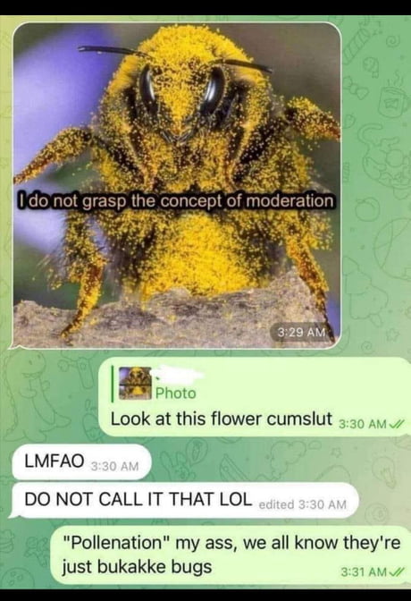 Memes Bees