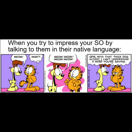 Funny Garfield Memes