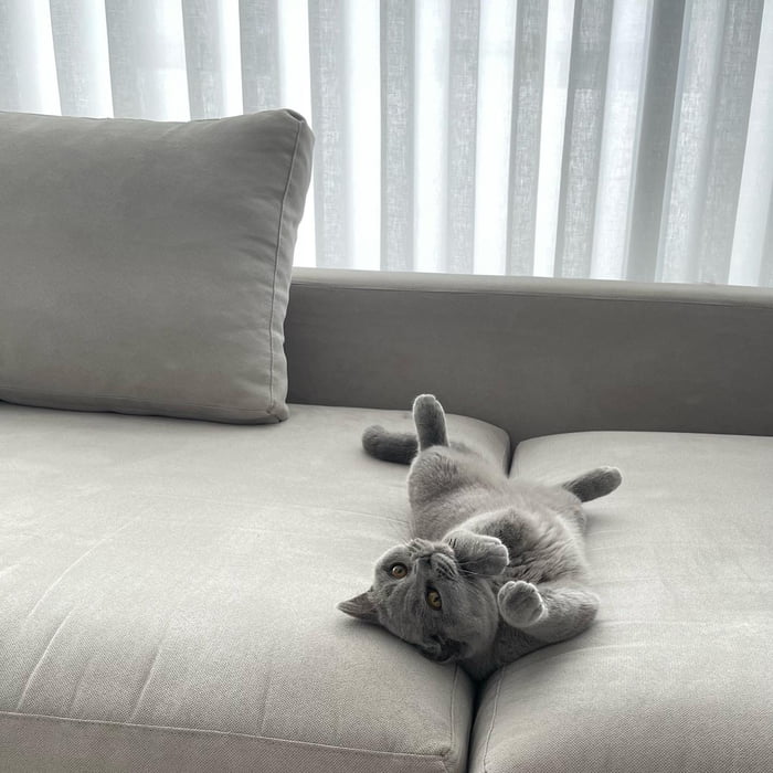 Lazy day vibes - 9GAG