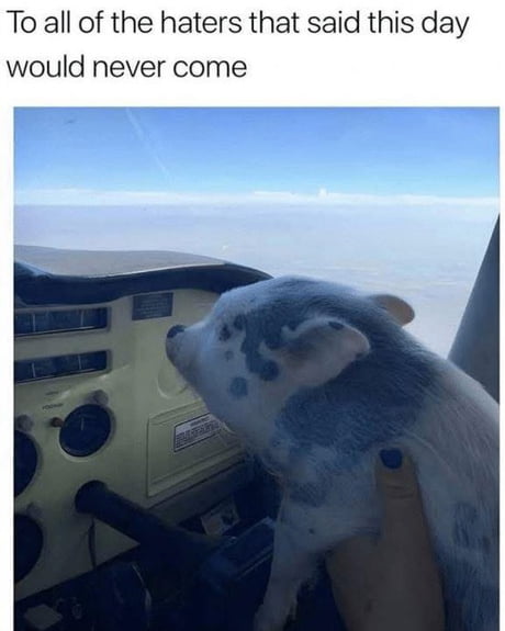 Best Funny fly Memes - 9GAG