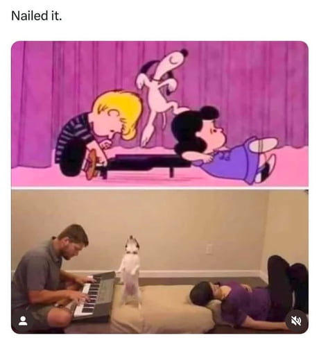 Best Funny peanuts Memes - 9GAG