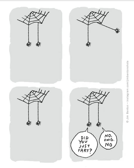 Best Funny spider humor Memes - 9GAG