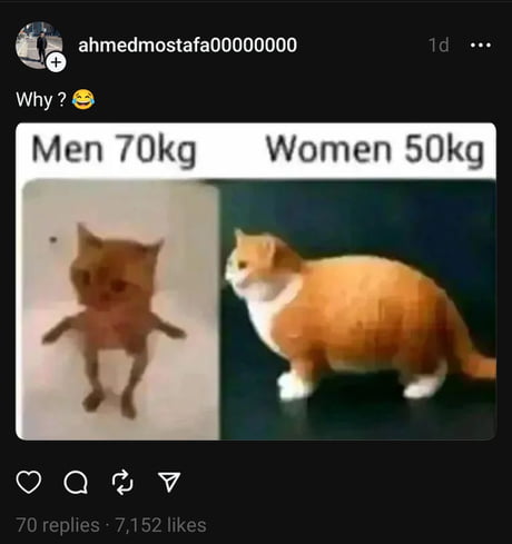 Best Funny chubby Memes - 9GAG