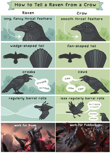 Best Funny crows Memes - 9GAG