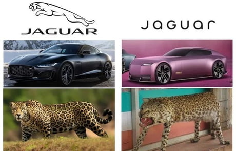 Memes - Page 107 - Conspiracy Graphics / Memes - David Icke Social Forum