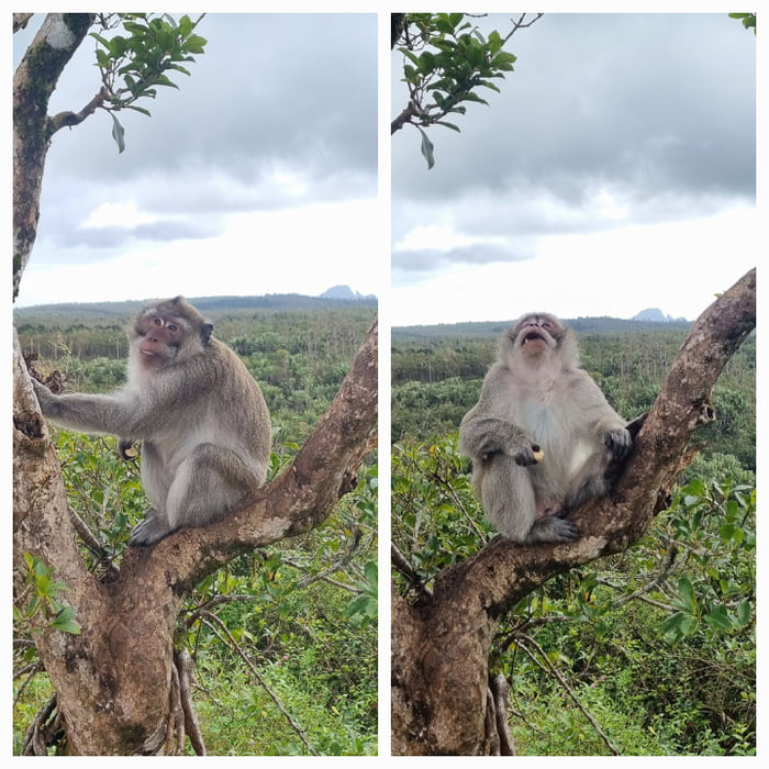 Meme template. Took the pics in Mauritius today. Have fun nerds. - 9GAG