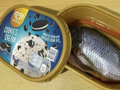 Best Funny fish Memes - 9GAG