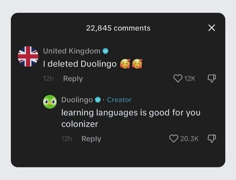 Best Funny duolingo Memes - 9GAG