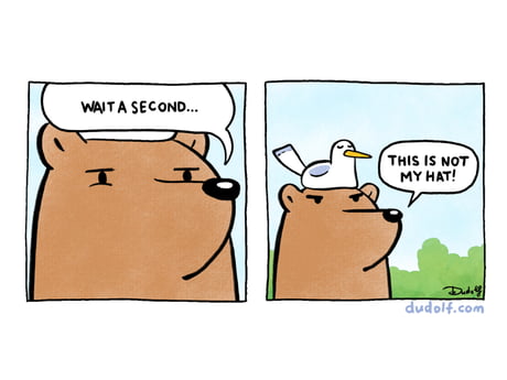 Best Funny hat Memes - 9GAG