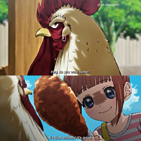 Best Funny chicken Memes - 9GAG