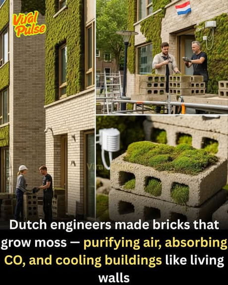 Funny Netherlands 🇳🇱 Memes - 9GAG