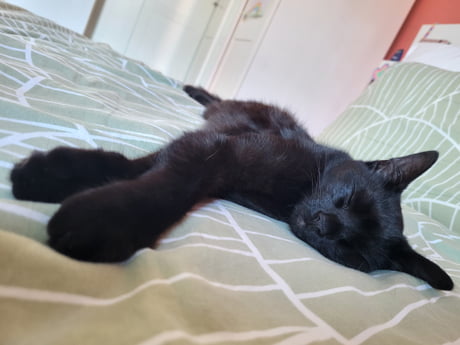 Best Funny weekend Memes - 9GAG