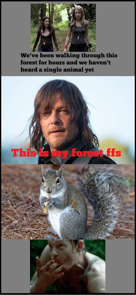 Memes Daryl