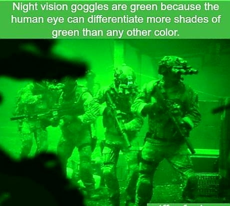 Ever wondered why night vision is green? – Wow look at that!