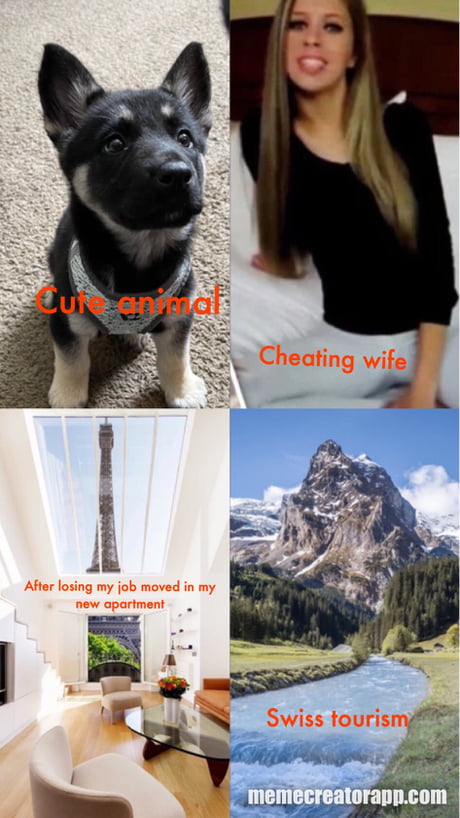 Best Funny swiss tourism Memes - 9GAG