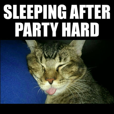 Memes Party 9gag