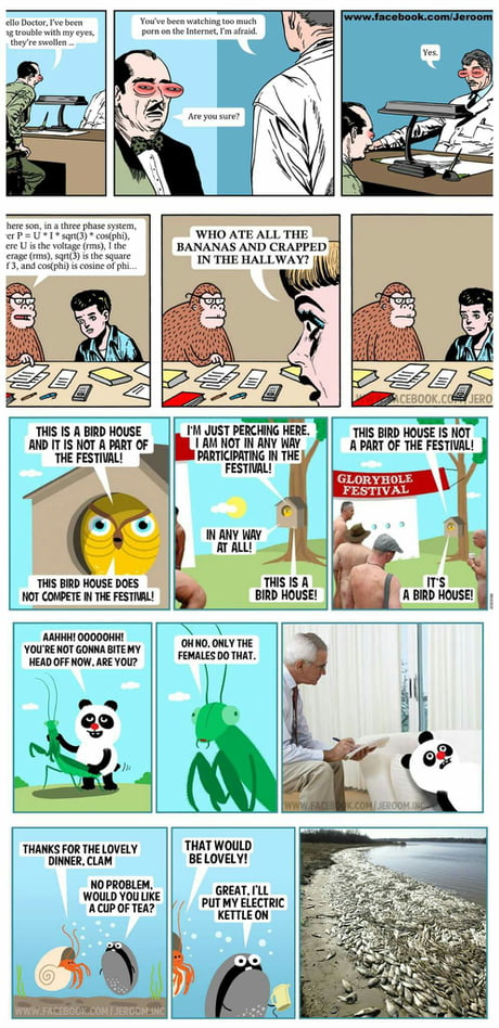 Jeroom Memes Jeroom Lambiek Comiclopedia