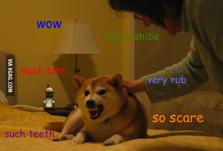 Doge Angry Memes