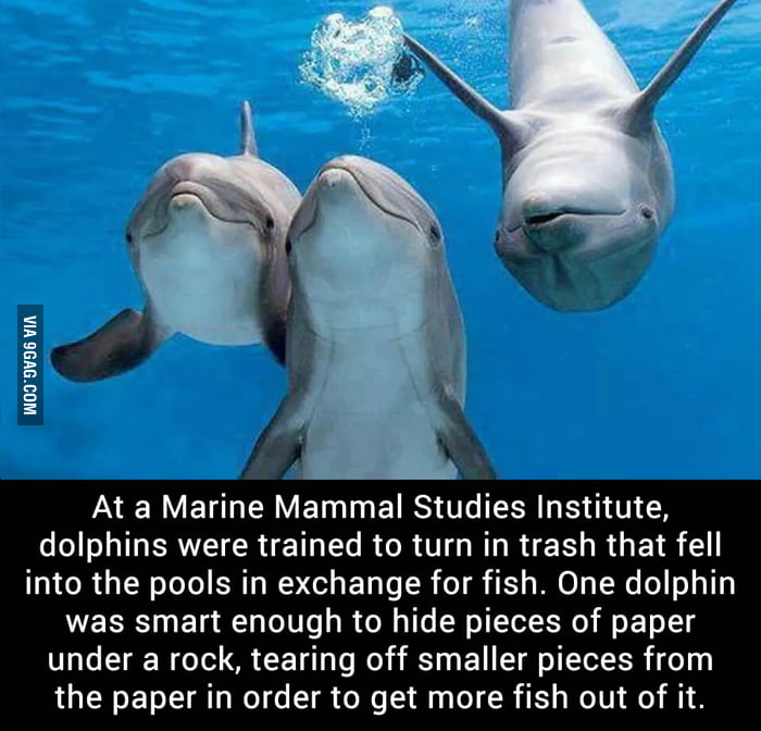 They're evolving - 9GAG