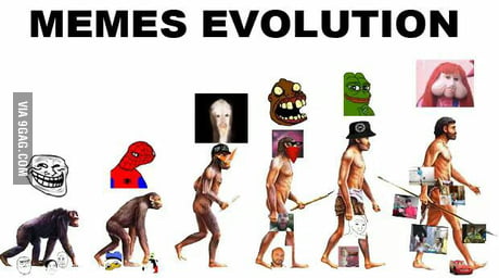 Funny Evolution Memes Margot Murphy On X: "@OxyEvo Poking Fun At The