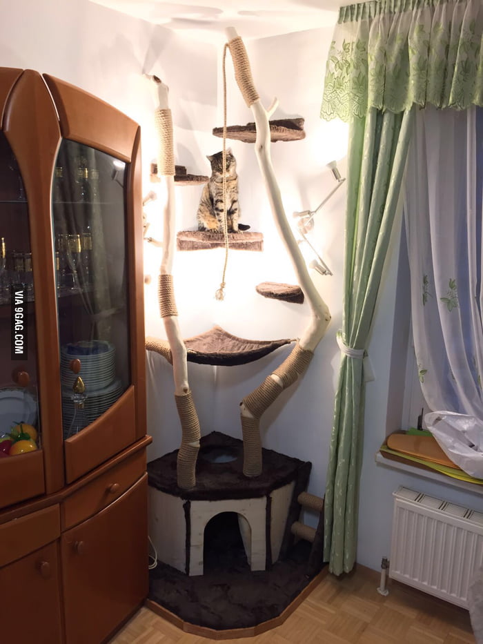 My bf made a cat tree for his cat Mickey Mouse...it's pretty amazing - 9GAG