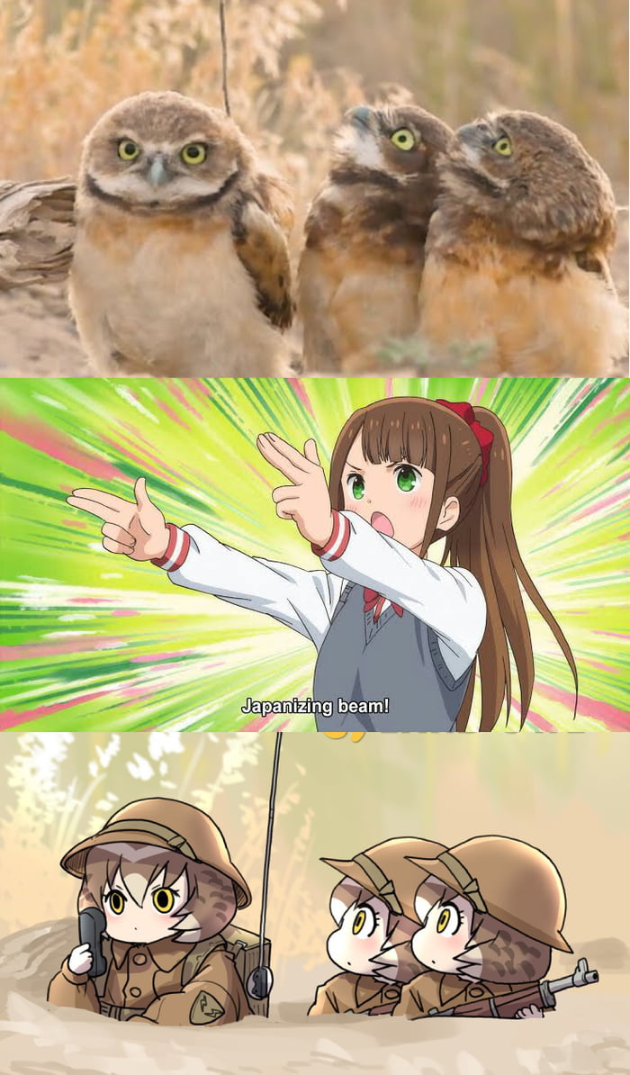 Show me your best Japanizing beam memes - 9GAG
