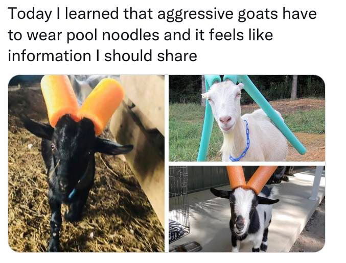 Angry Goats - 9GAG