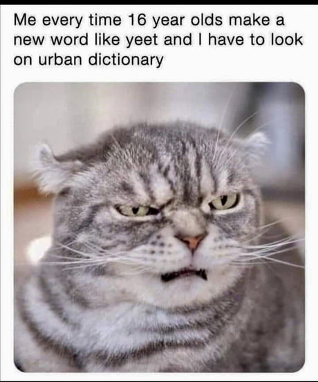 Best Funny yeet Memes - 9GAG