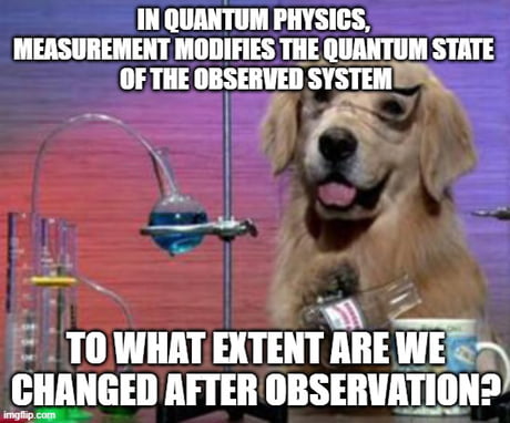 Best Funny quantum Memes - 9GAG