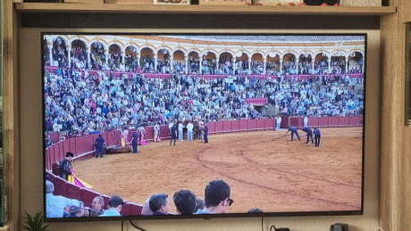 Best Funny bullfighting Memes - 9GAG