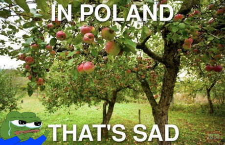 Best Funny orchard Memes - 9GAG