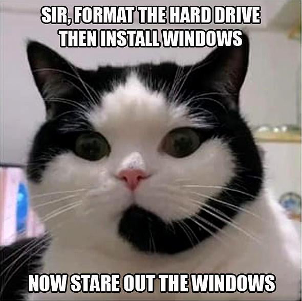 Tech Support Cat and Windows - 9GAG