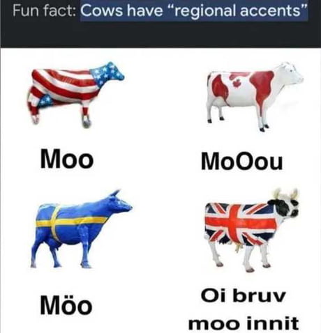 Best Funny innit Memes - 9GAG