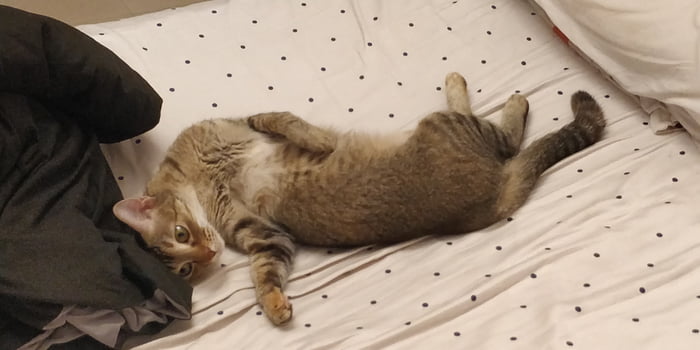 Paint me like one your french girls - 9GAG