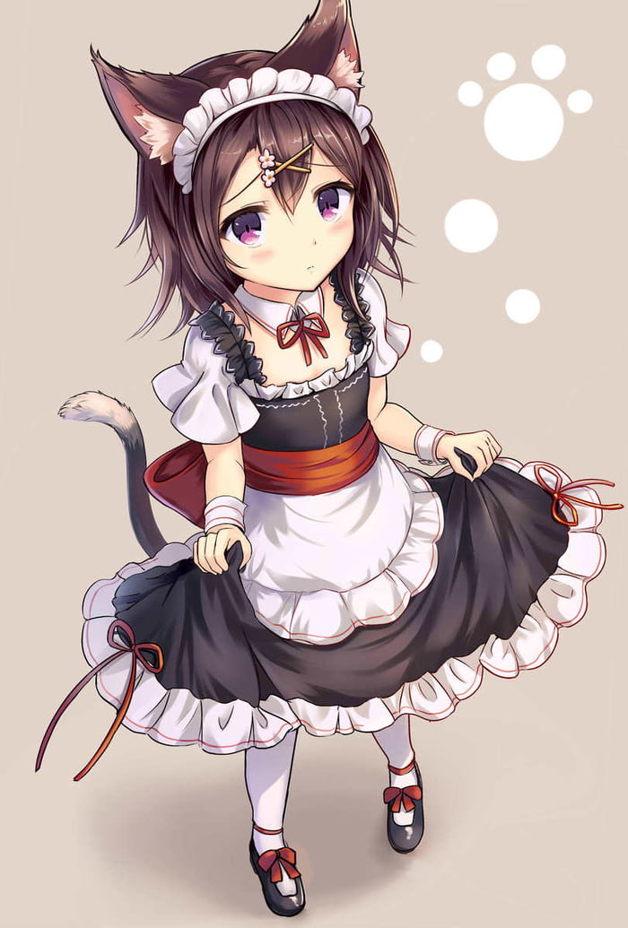 Megumin become a maid cat girl - 9GAG