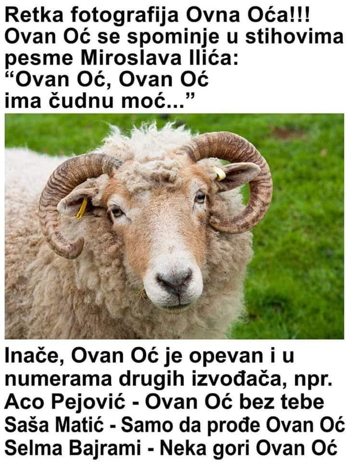 Ovan Oć - 9GAG