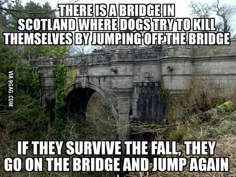 Overtoun Bridge
