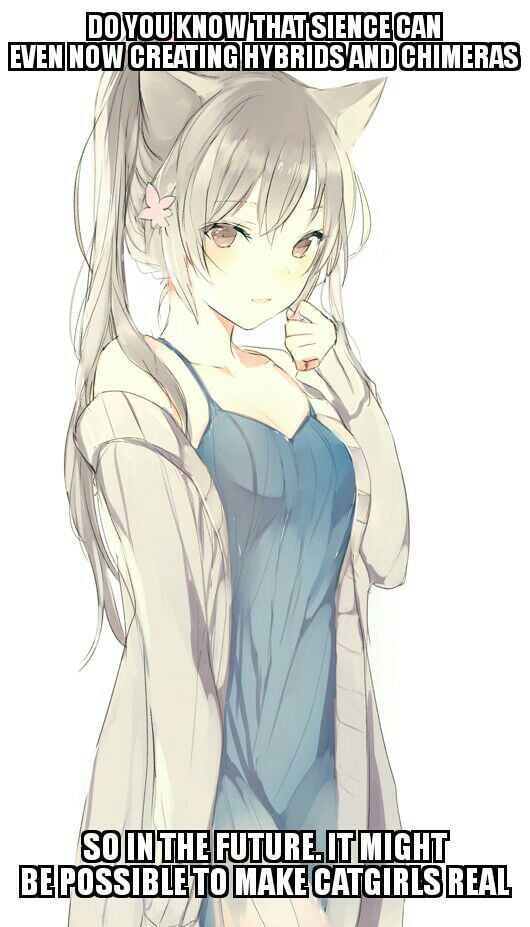 Catgirls becoming reality in the Future. - 9GAG