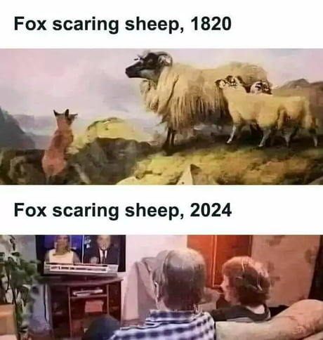 Best Funny fox news Memes - 9GAG