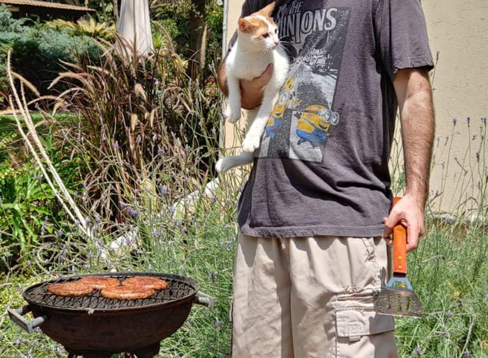 My BBQ ain't much, but here's a cat - 9GAG